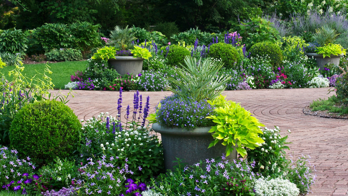 How to Choose the Right Height and Spread of Plants to Create Balanced ...